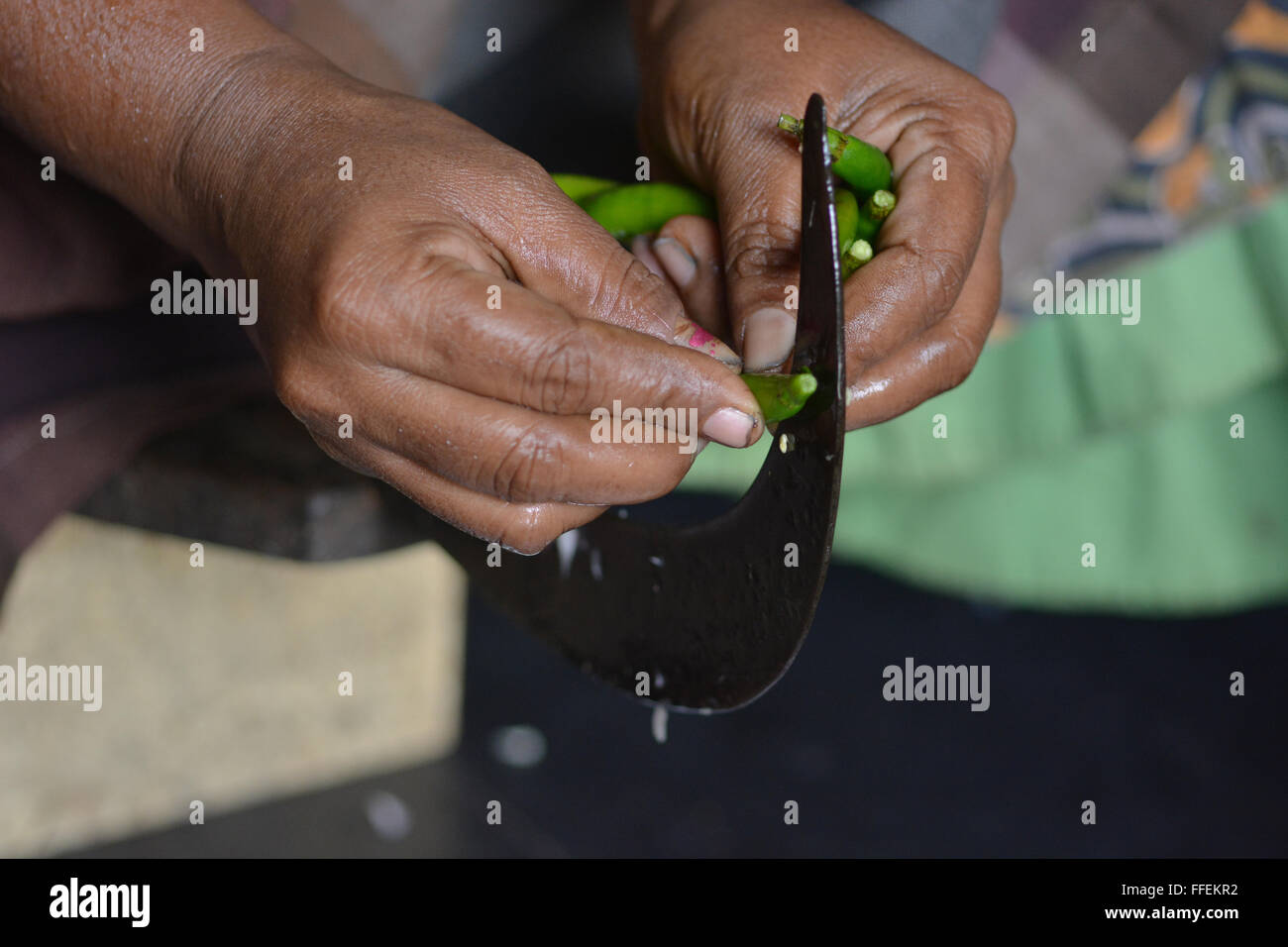 Mumbai, India - October 28, 2015 - Woman cutting chili and onions on a ...