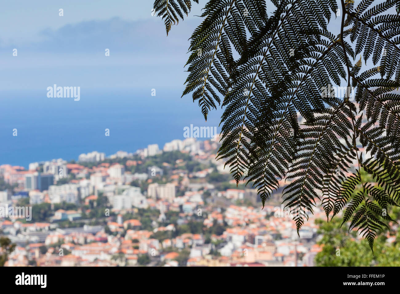 Madeira town houses of Funchal - capital of Madeira, Portugal Stock ...