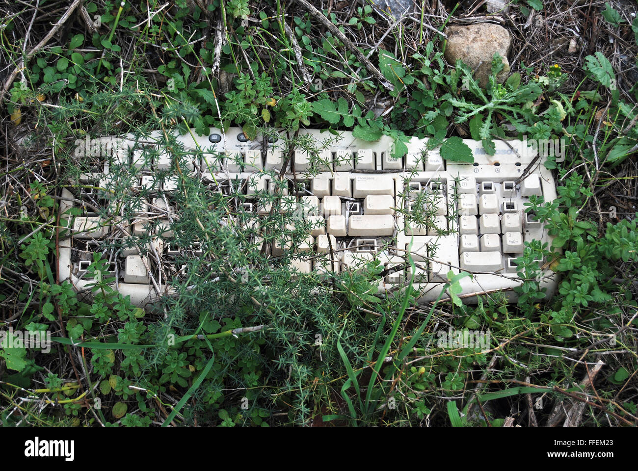 broken keyboard on grass Stock Photo - Alamy