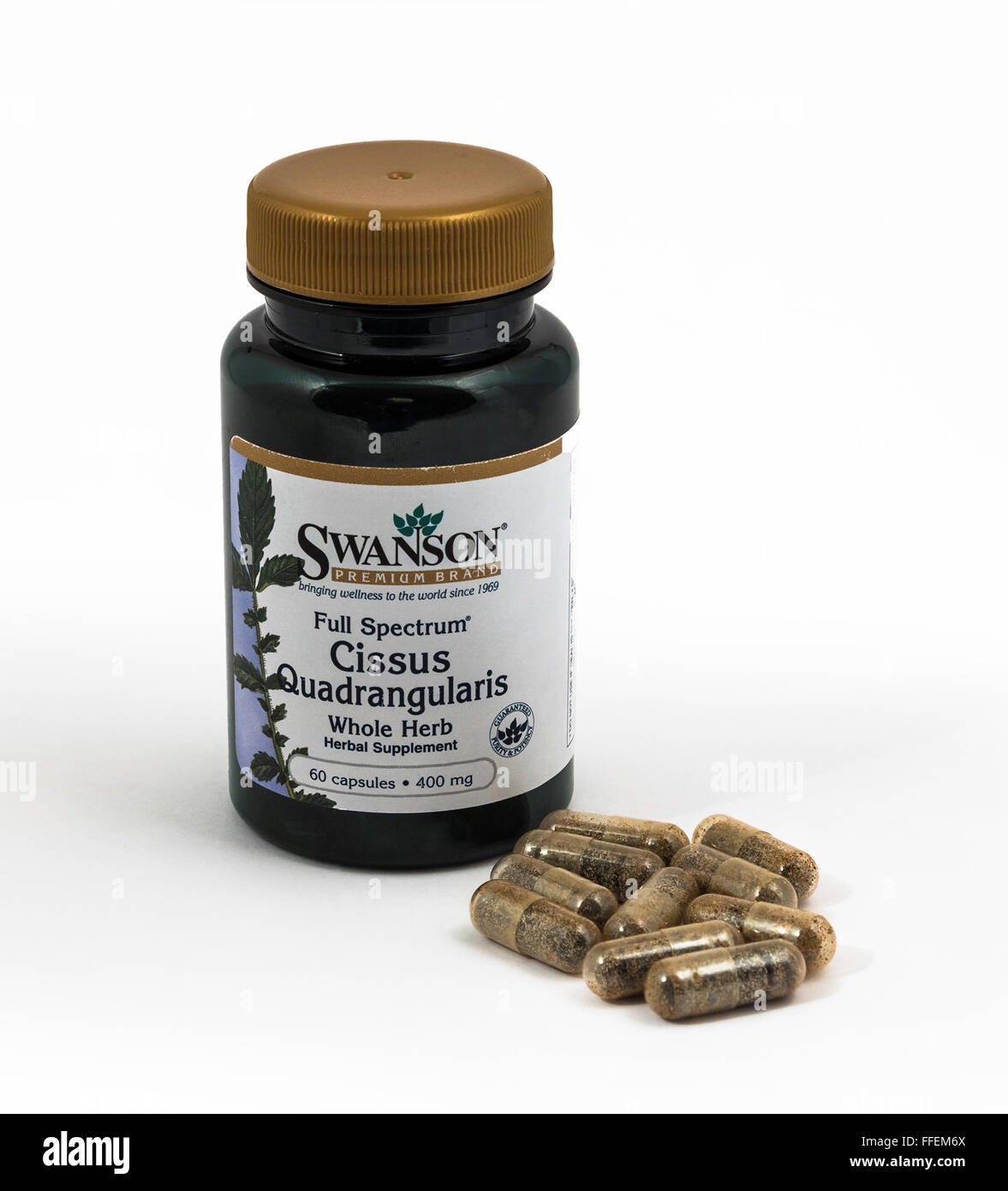 Cissus Quadrangularis, a herbal supplement used to aid a number of ...