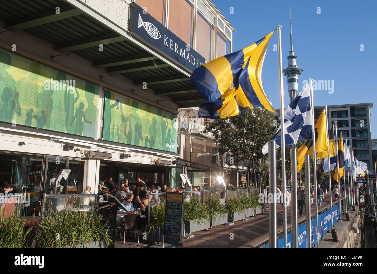 At Viaduct Basin Marina Harbour,Auckland,New Zealand Stock Photo - Alamy