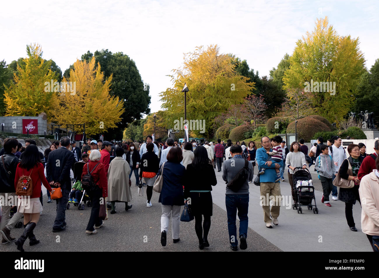 People, tourists, crowd visiting city park during fall season. Trees ...