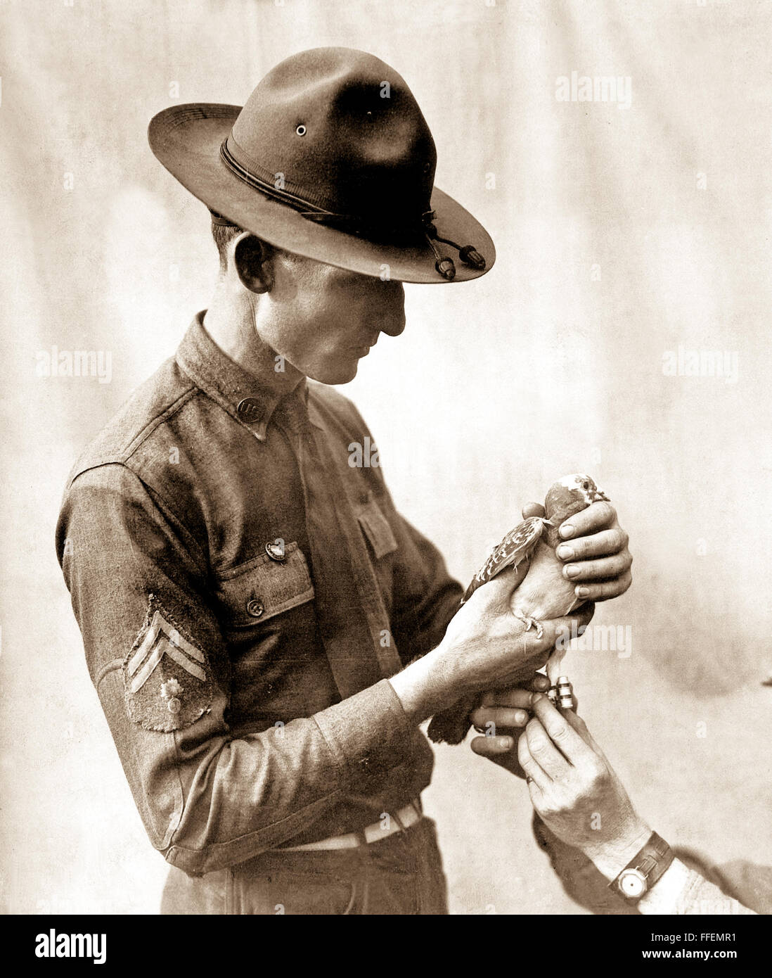 Signal corps german hi-res stock photography and images - Alamy