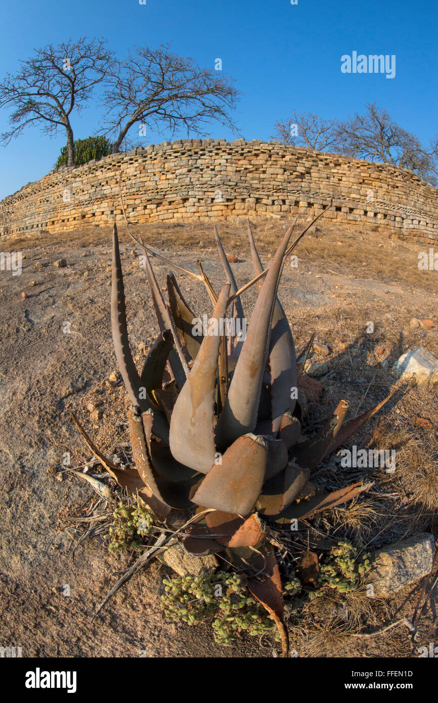 Danangombe hi-res stock photography and images - Alamy