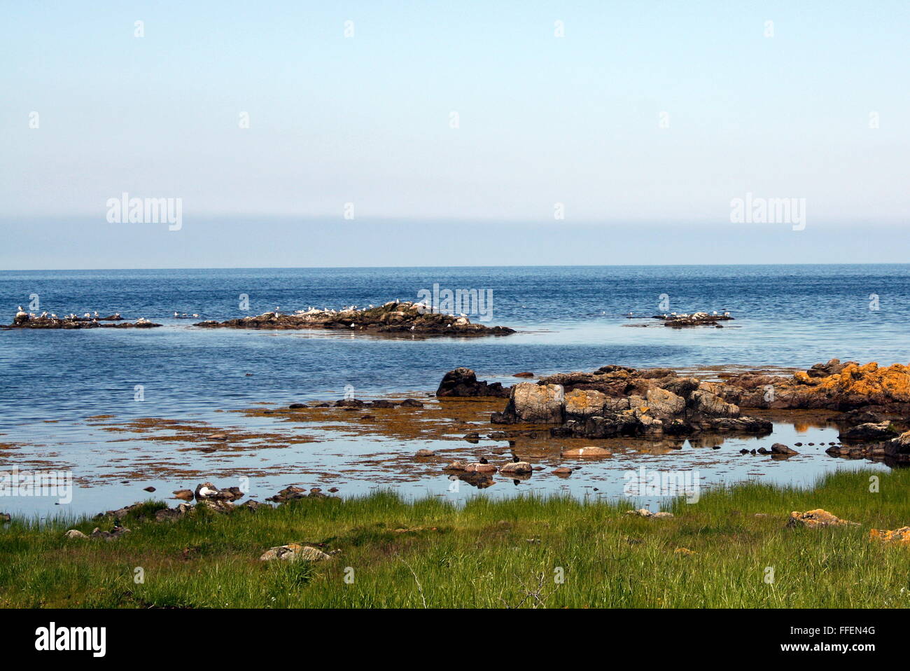 Rocks on the Baltic Sea at Bornholm. Denmark Stock Photo - Alamy