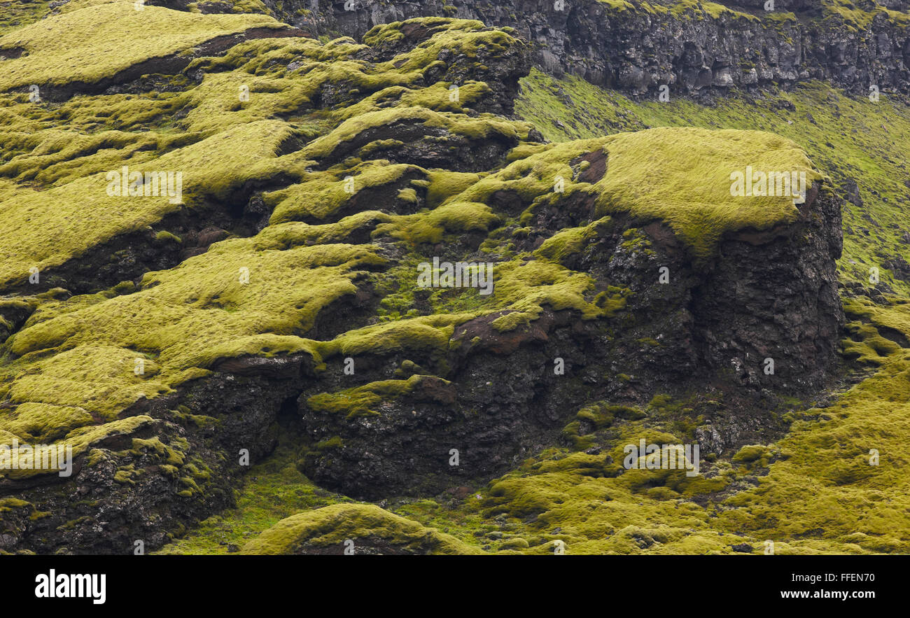 Icelandic landscape with volcanic rocks and moss. Horizontal Stock ...
