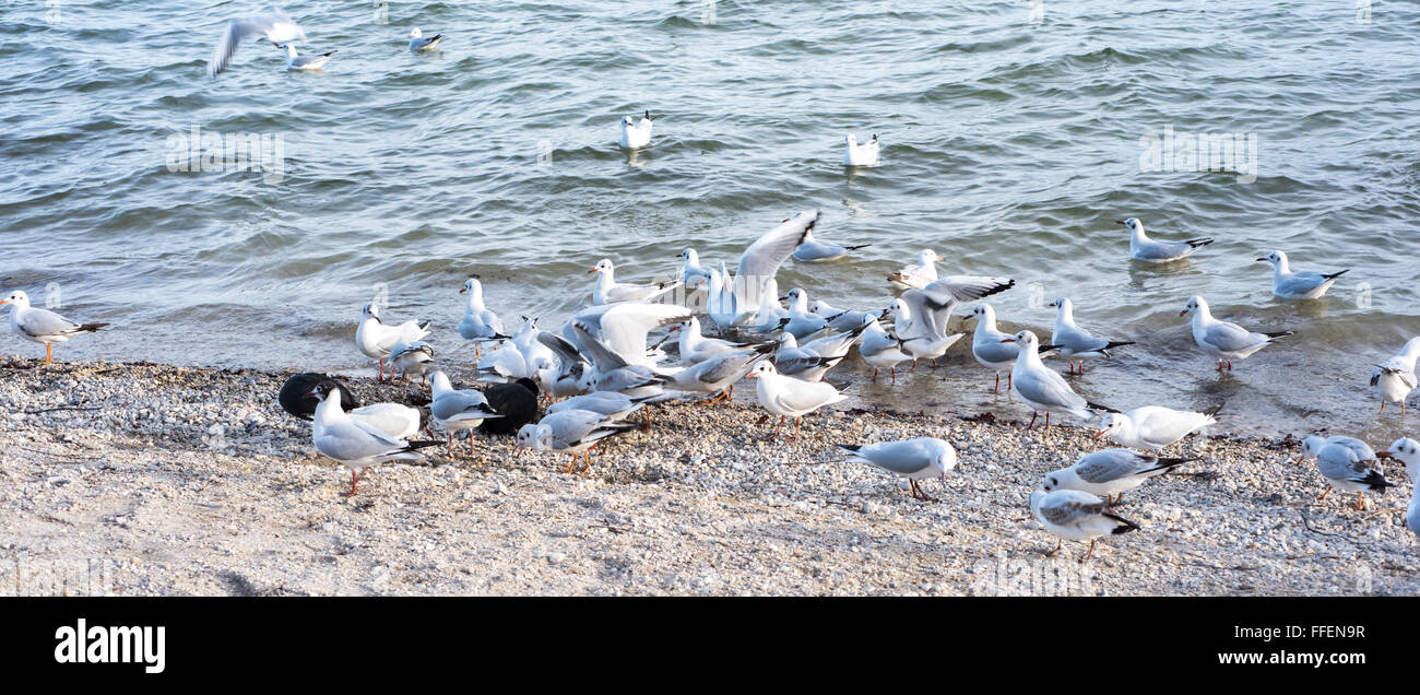 Bavaria border hi-res stock photography and images - Alamy