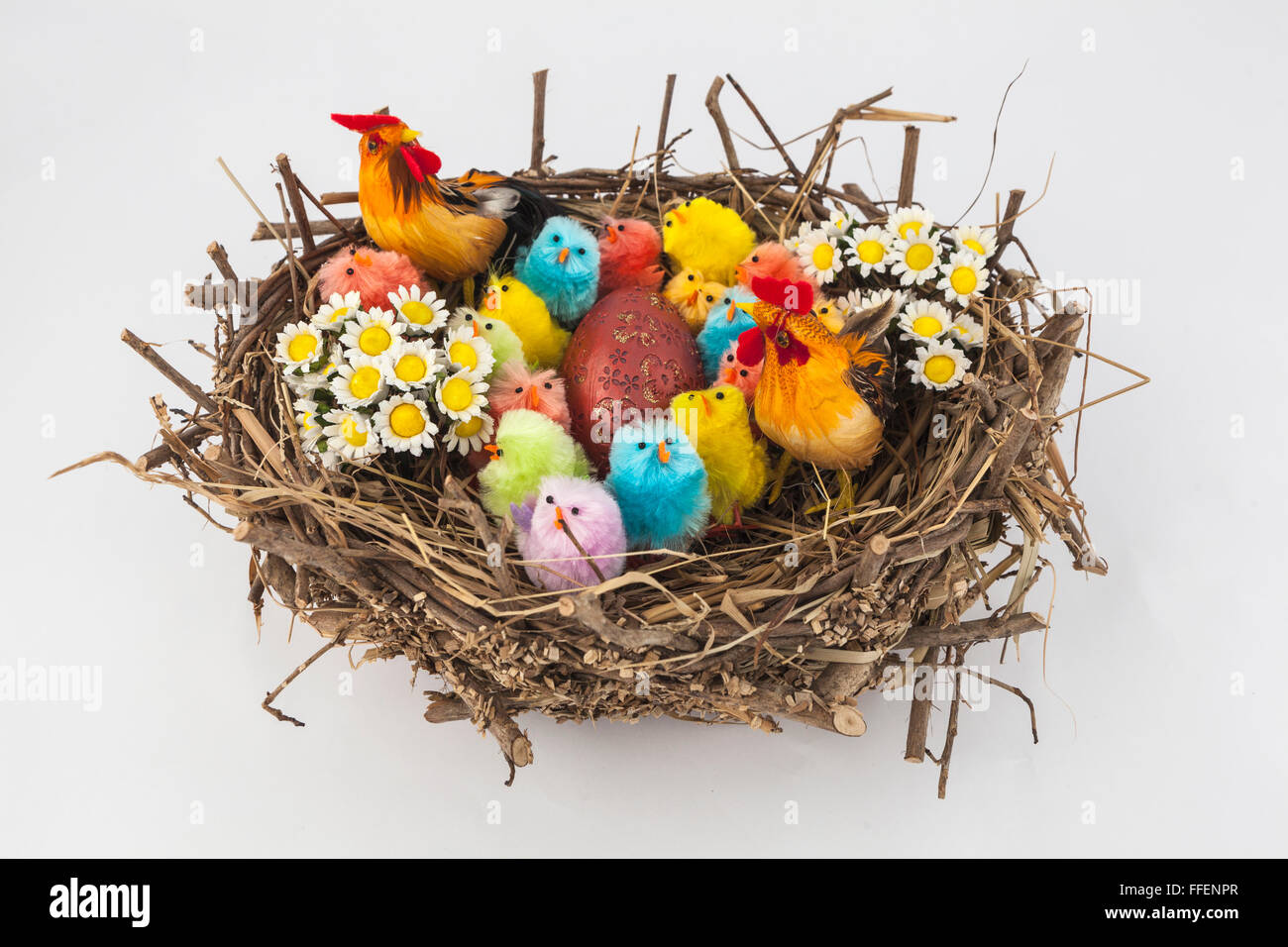 Colorful easter chickens in nest with egg Stock Photo - Alamy