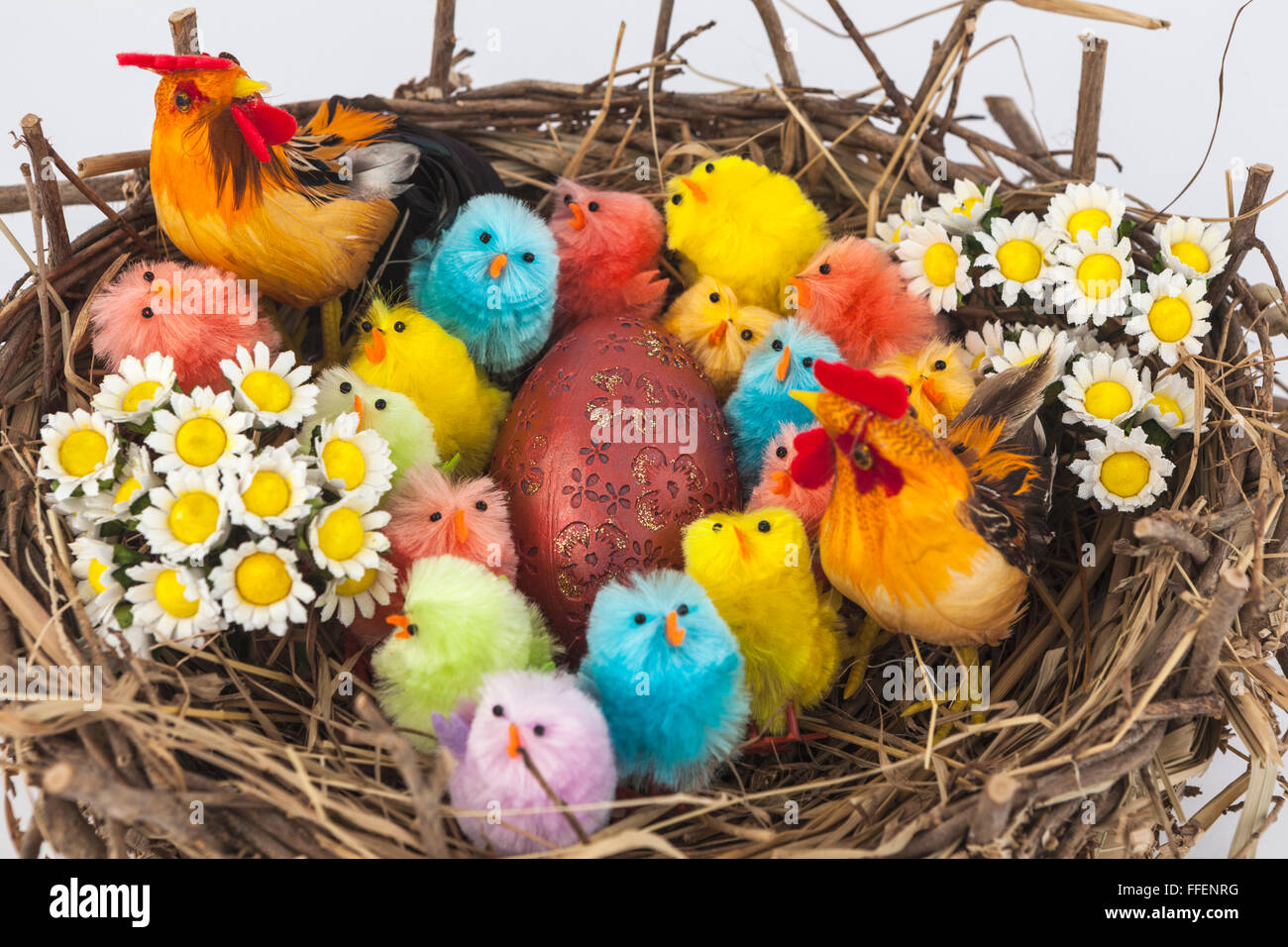 Colorful easter chickens in nest with egg Stock Photo - Alamy