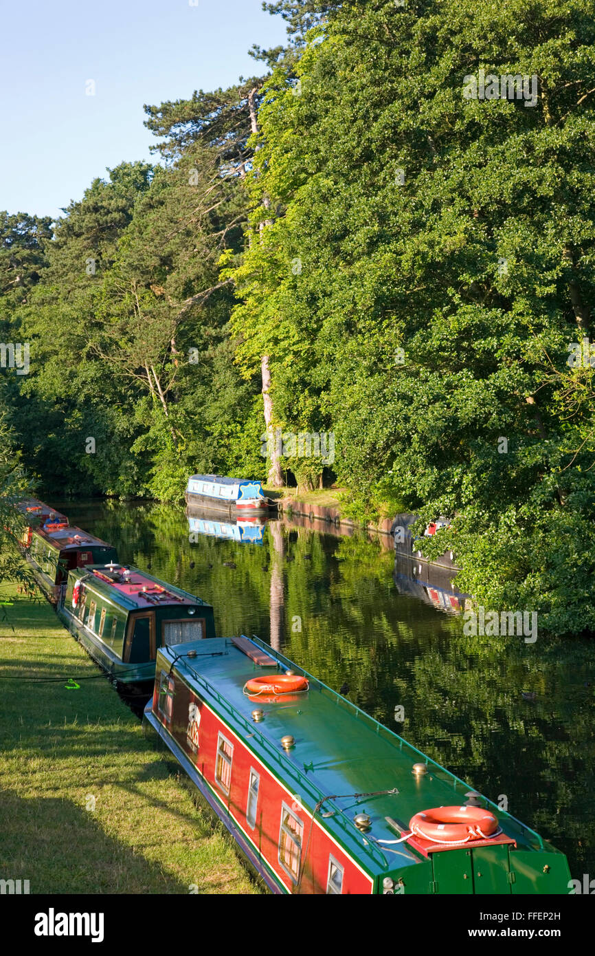 River wey send surrey uk hi-res stock photography and images - Alamy