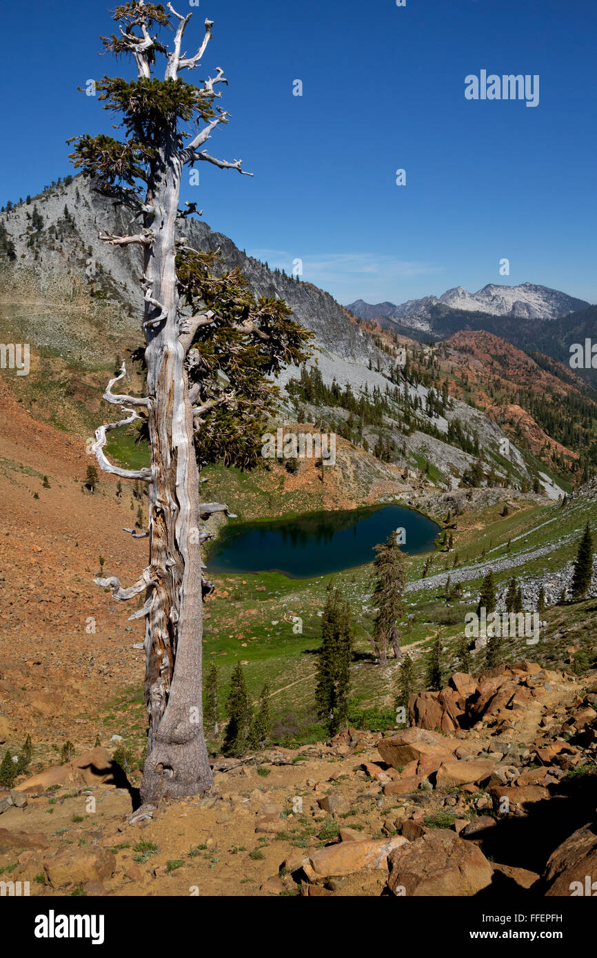 Trinity alps wilderness hi-res stock photography and images - Alamy