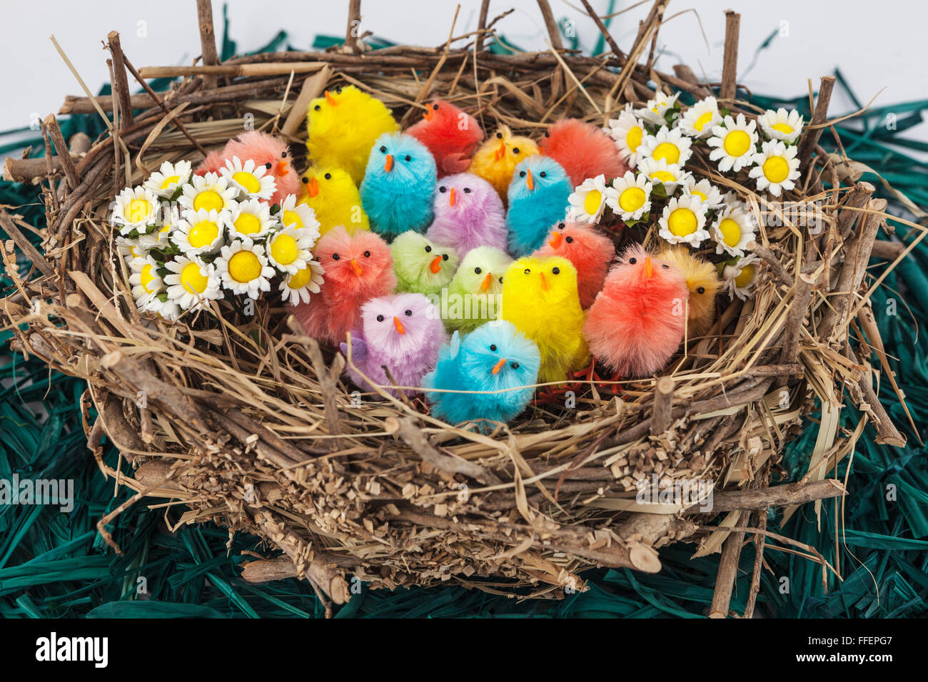 Colorful easter chickens in nest Stock Photo - Alamy