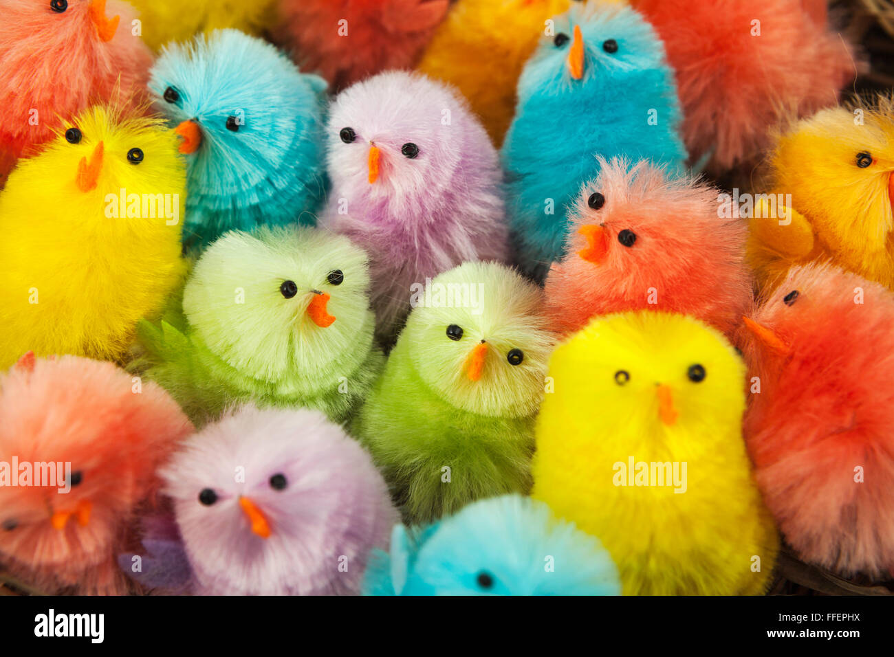 Colorful easter chickens Stock Photo - Alamy