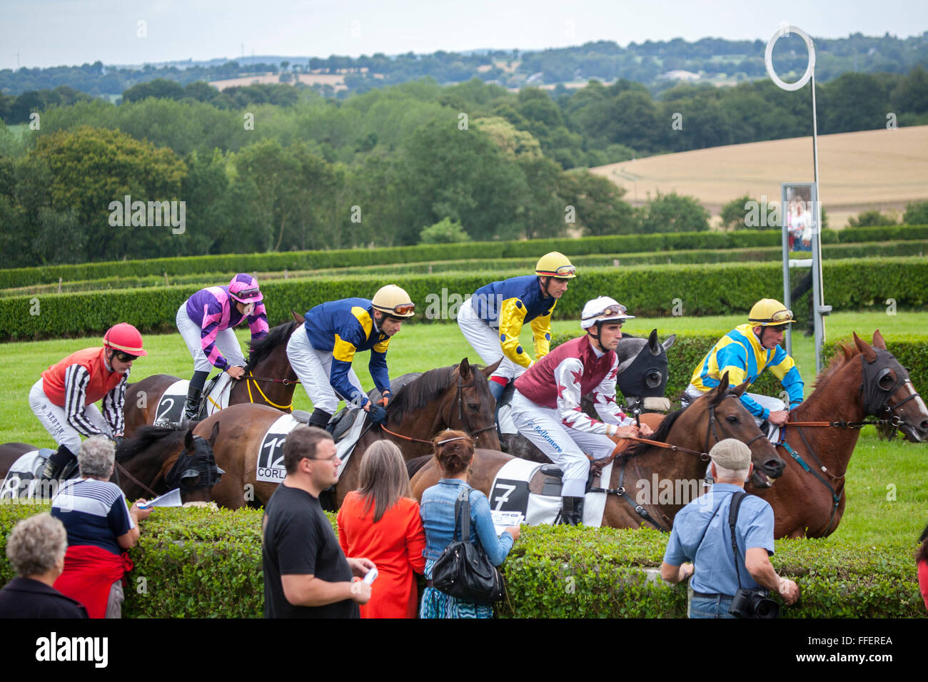 Horses racing at Corlay Racecourse Brittany France Stock Photo - Alamy