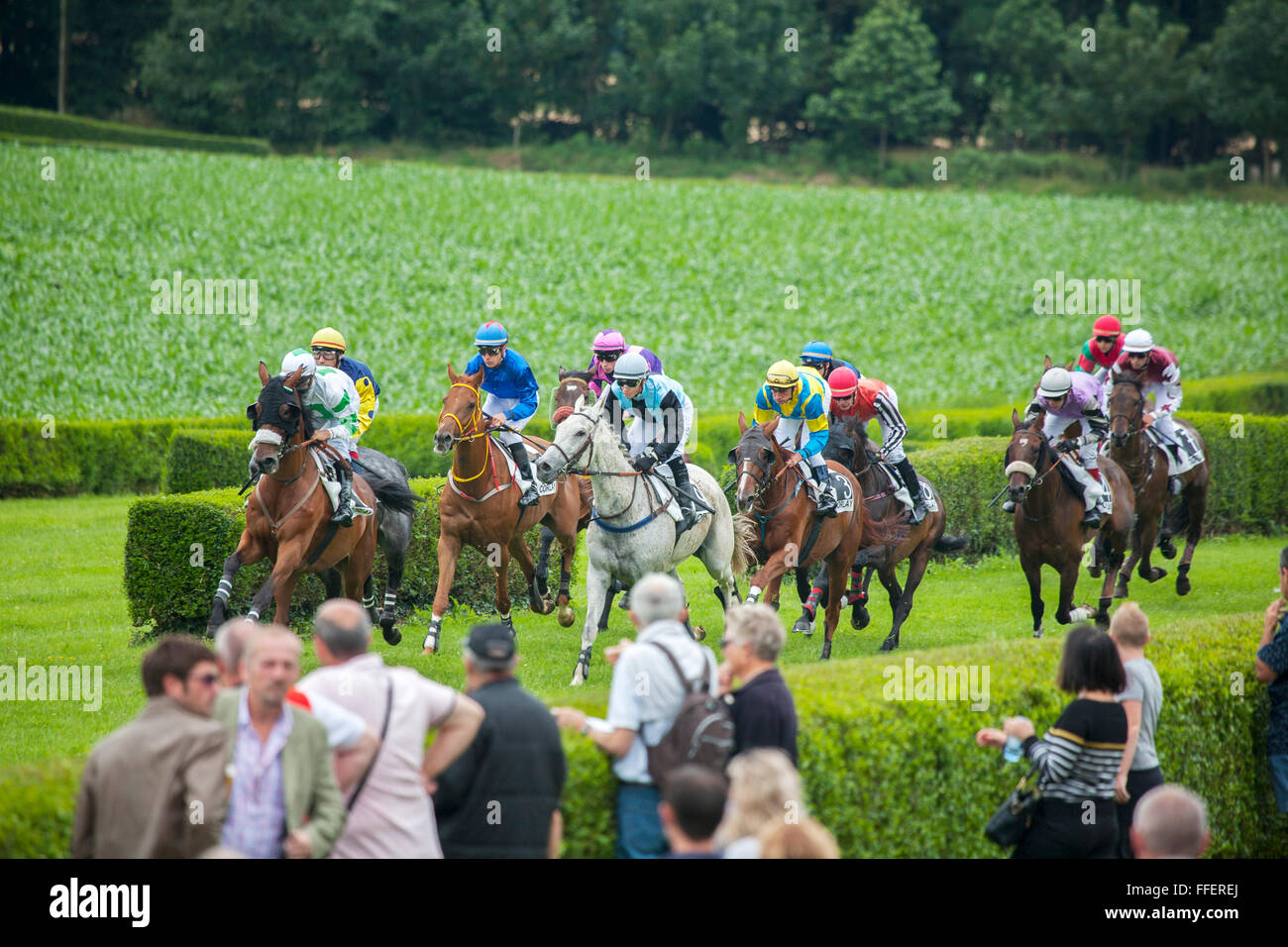 Horses racing at Corlay Racecourse Brittany France Stock Photo - Alamy
