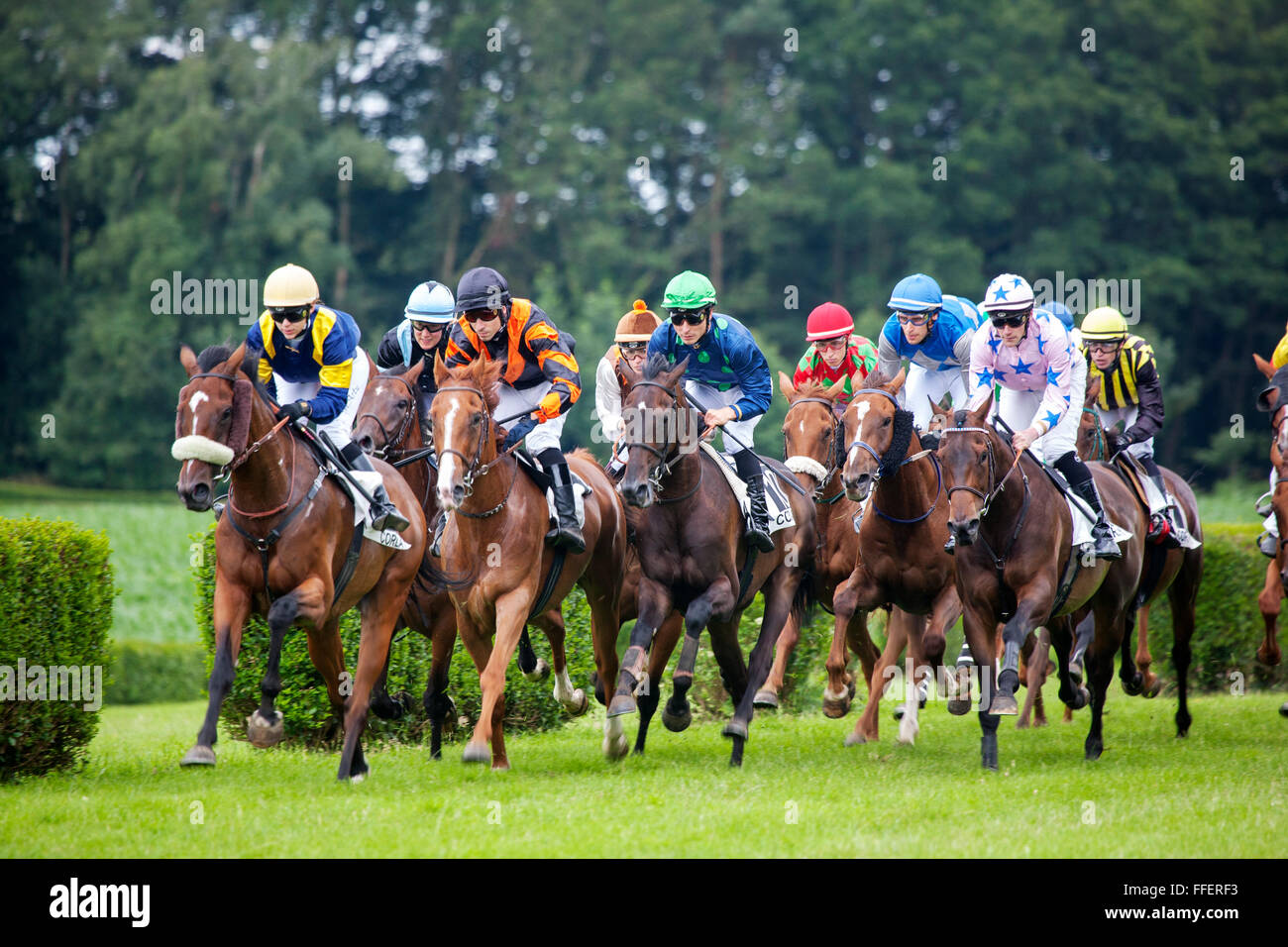 Horses racing at Corlay Racecourse Brittany France Stock Photo - Alamy