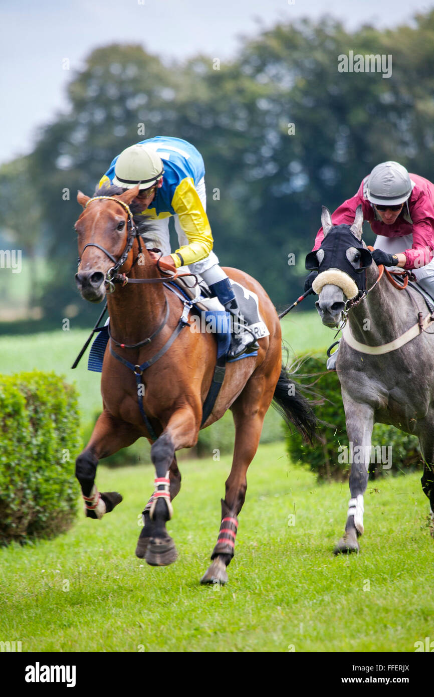 Horses racing at Corlay Racecourse Brittany France Stock Photo - Alamy