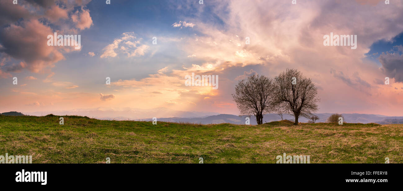 Sunny spring evening. April mountain sunset in Carpathians Stock Photo ...