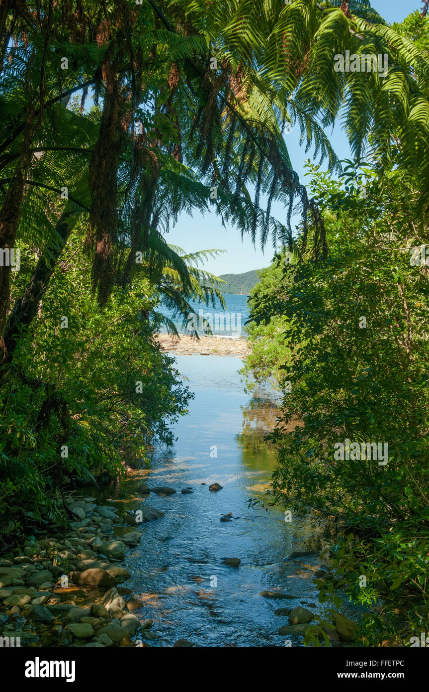 Creek at Ship's Cove, Marlborough Sound, New Zealand Stock Photo - Alamy