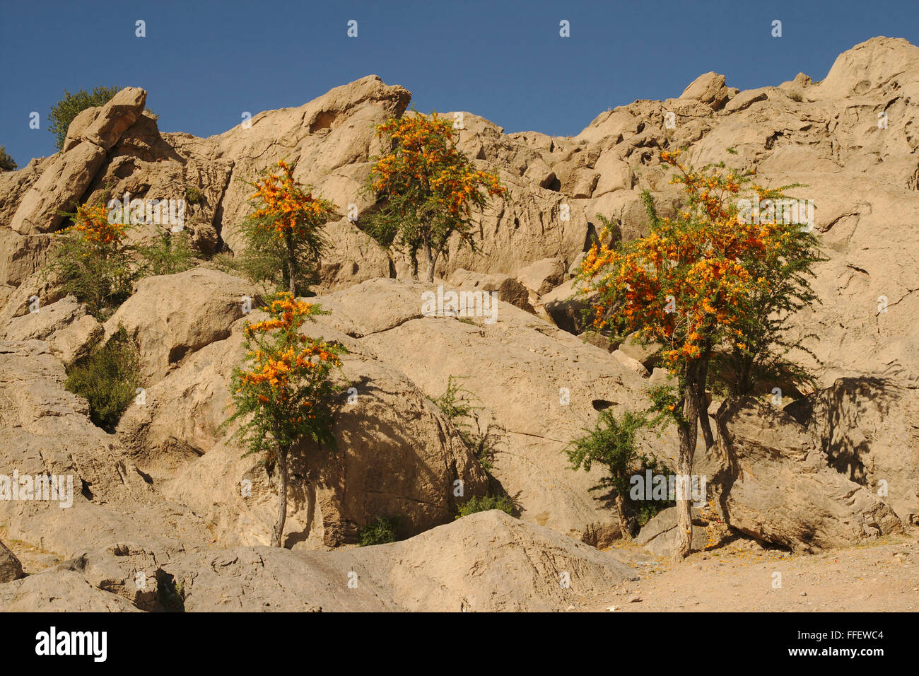 Zagros Iran High Resolution Stock Photography and Images - Alamy