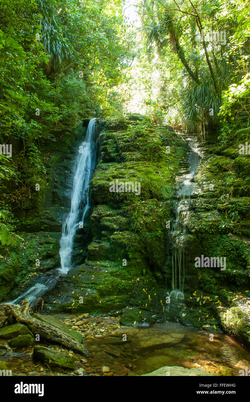 Cook's Cascade Falls, Ship's Cove, Marlborough Sound, New Zealand Stock ...