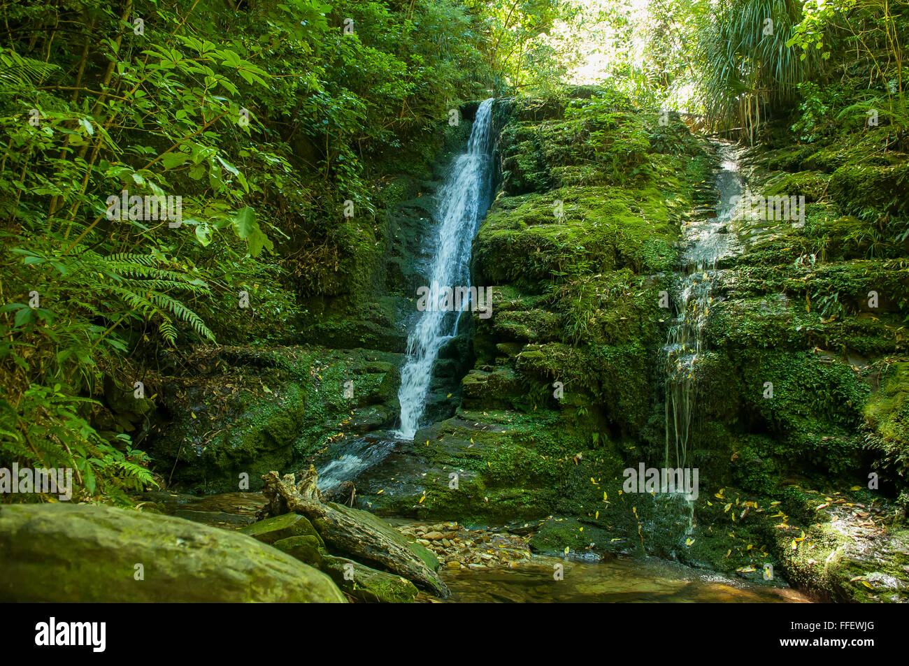 Cook's Cascade Falls, Ship's Cove, Marlborough Sound, New Zealand Stock ...