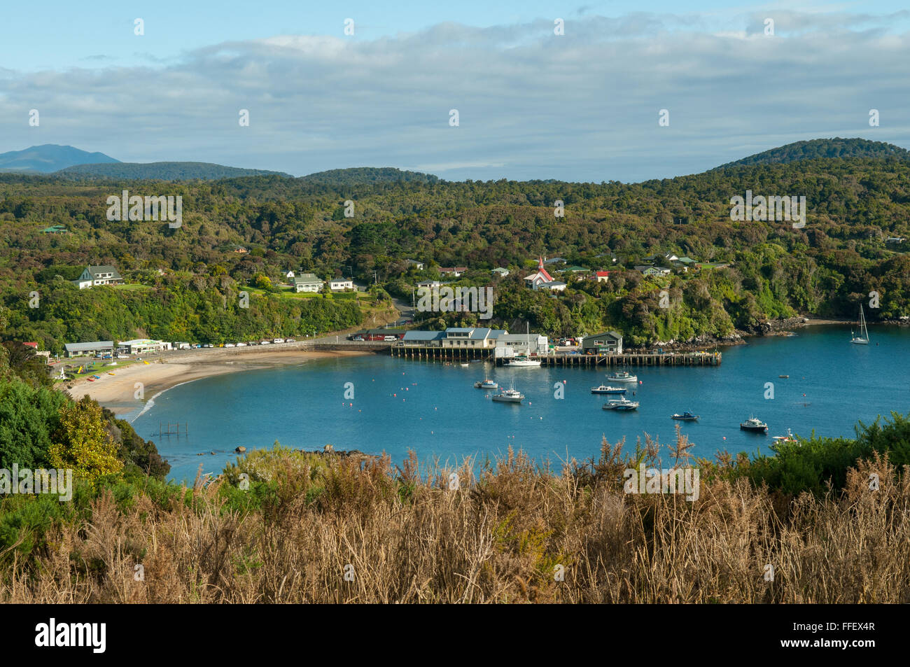 Stewart island new zealand hi-res stock photography and images - Alamy