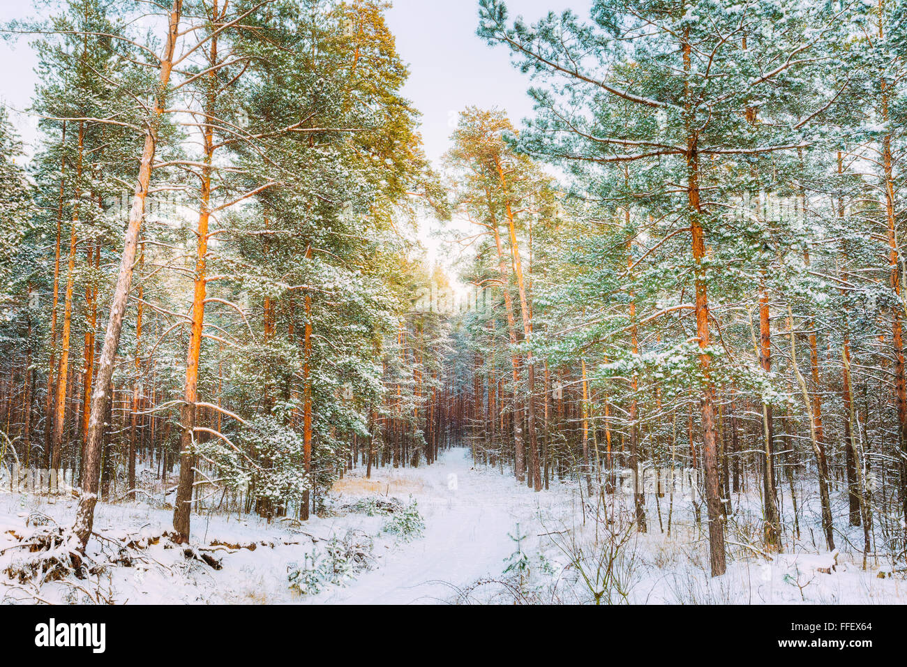 Beautiful russian winter scene hi-res stock photography and images - Alamy