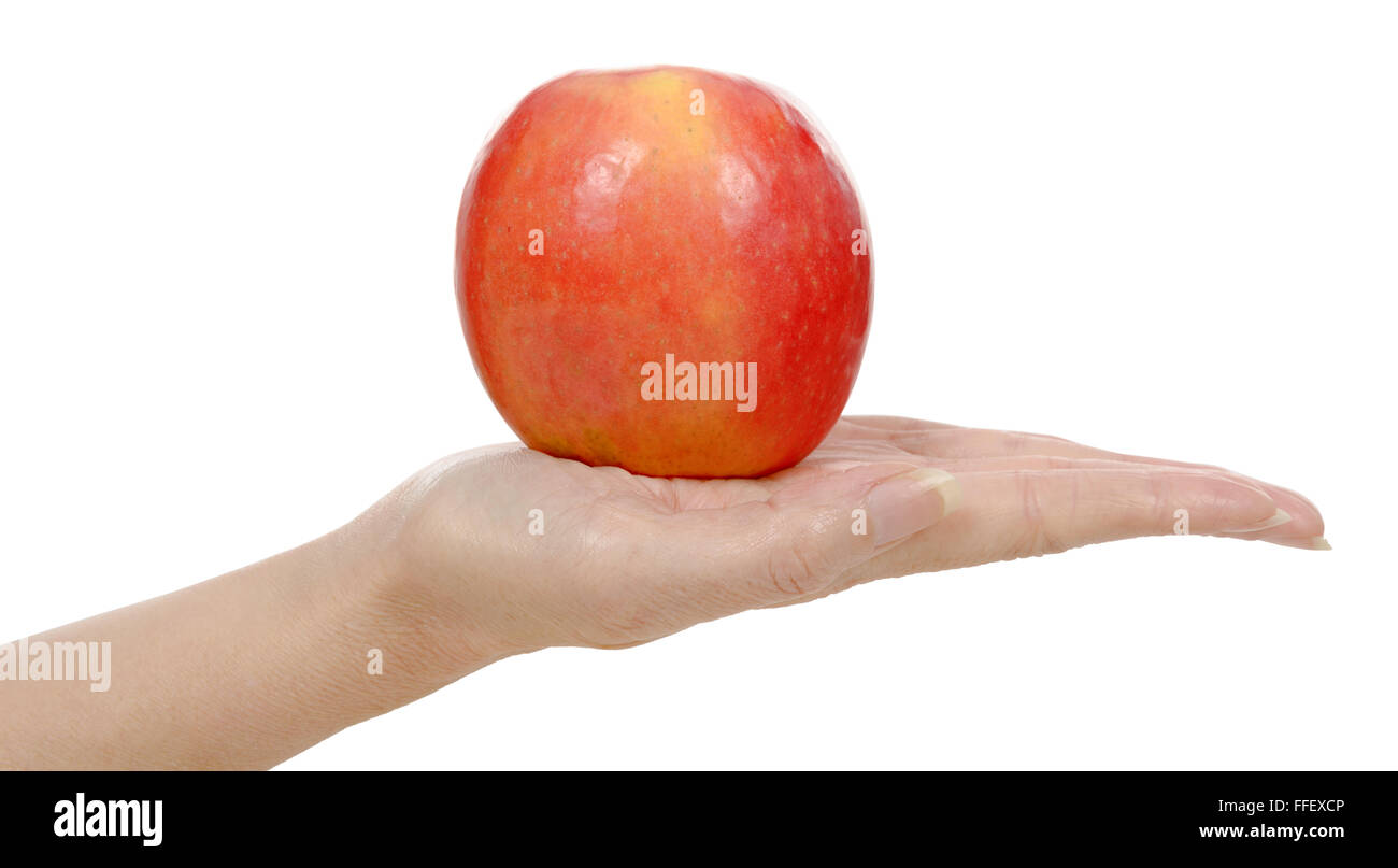 a woman's hand holding red apple. Isolated on a white background Stock ...