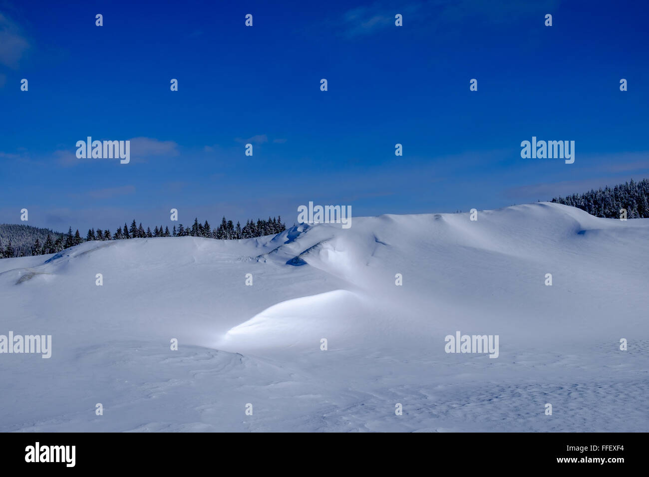 Snow dunes, light and shadows, winter, blue sky, landscape. Calm ...