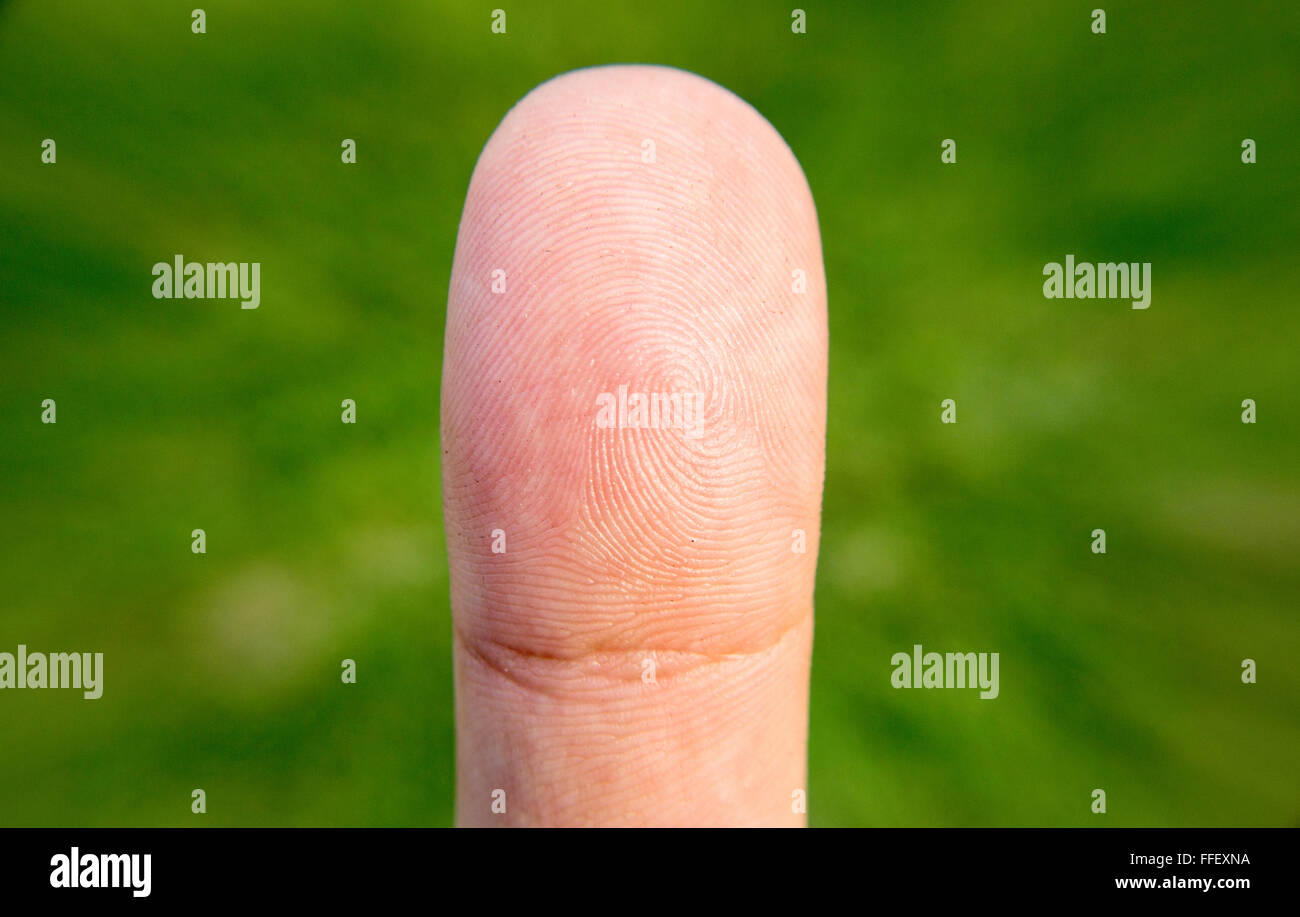 macro finger print with tumb on blur background Stock Photo - Alamy