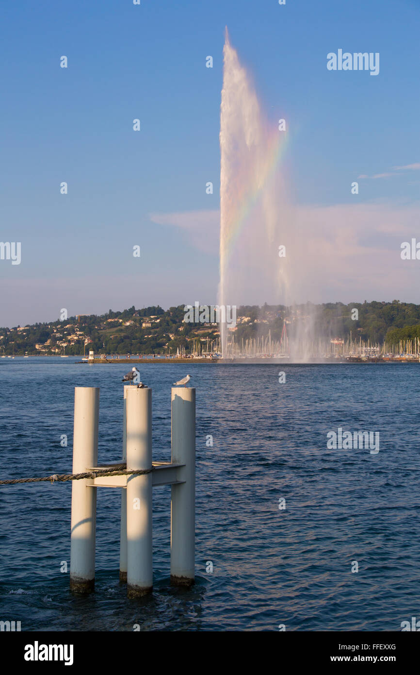 Geneva fountain hi-res stock photography and images - Alamy