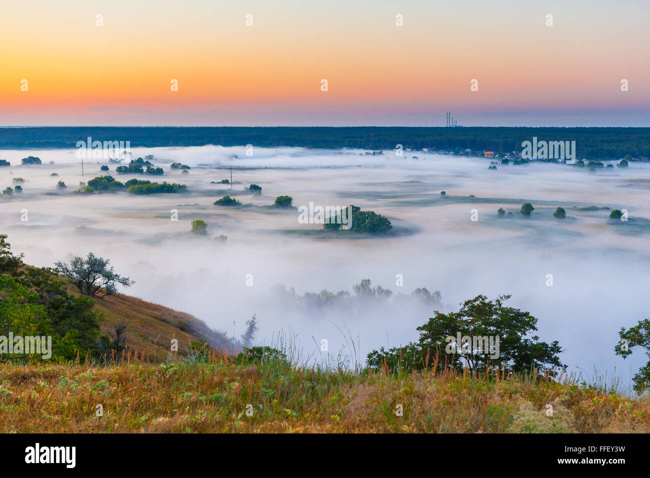 Misty dawn over the Valley and the forest Stock Photo - Alamy