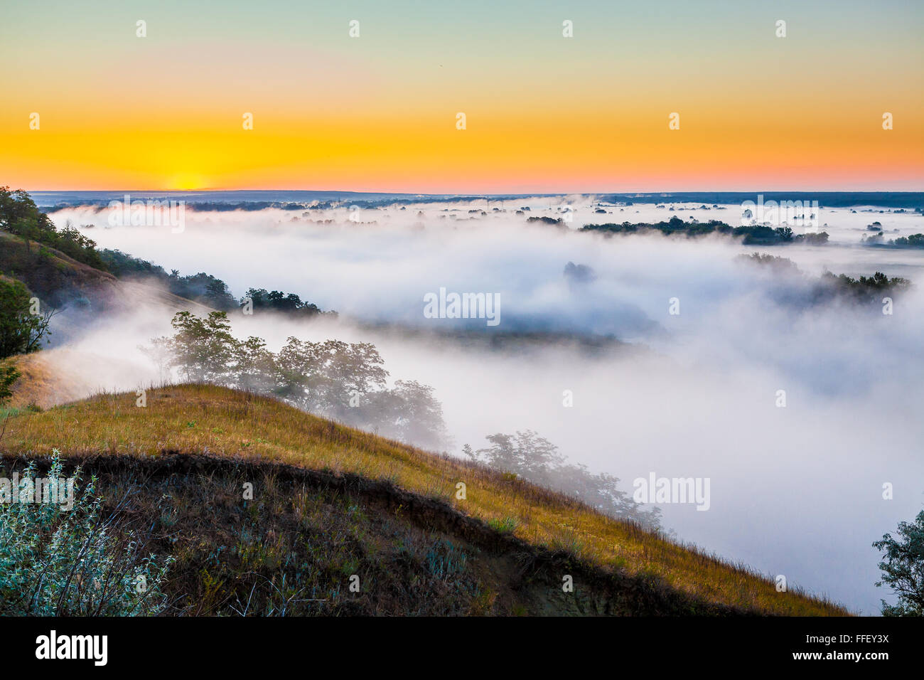 Misty dawn over the Valley and the forest Stock Photo - Alamy