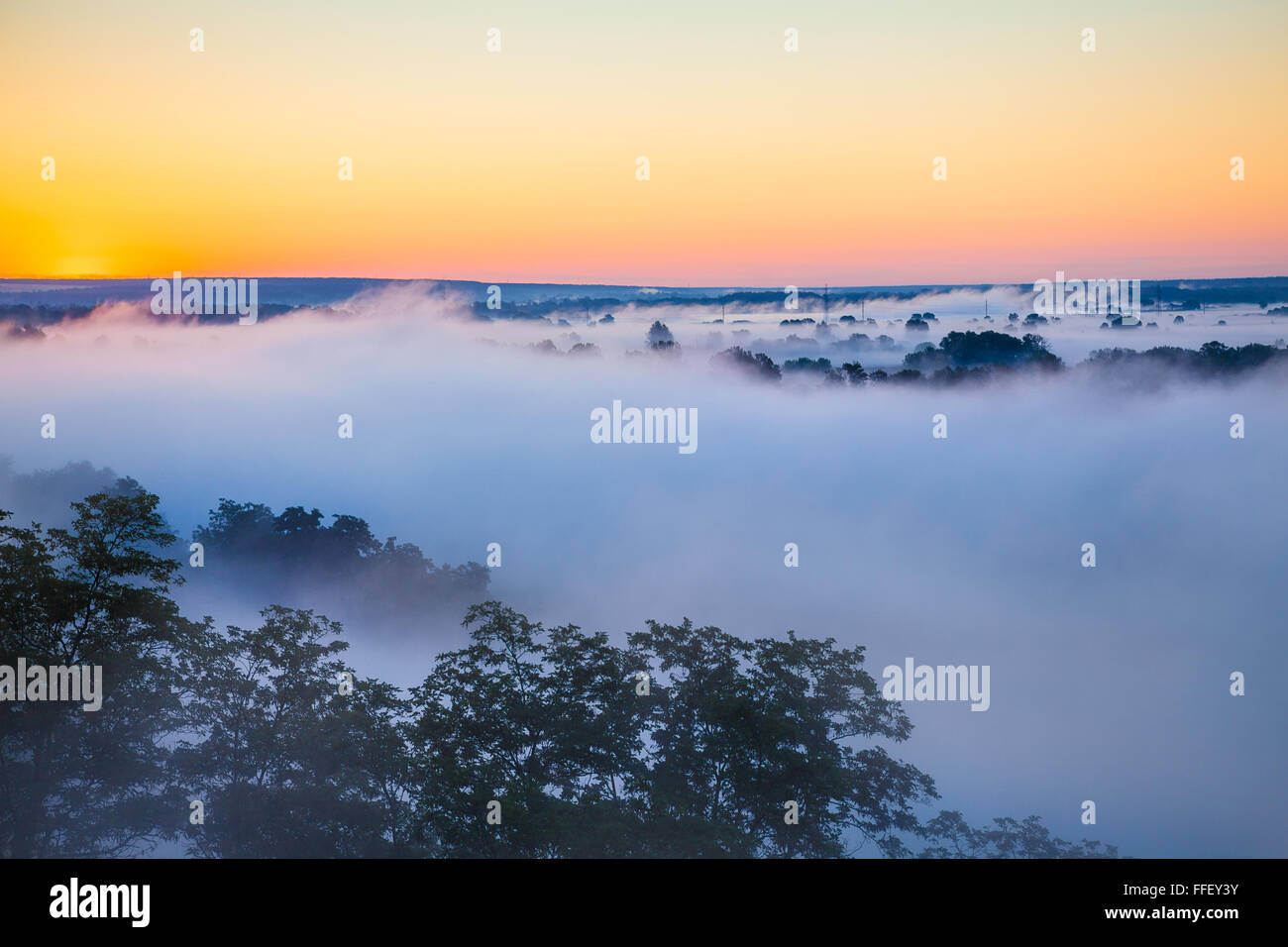 Misty dawn over the Valley and the forest Stock Photo - Alamy