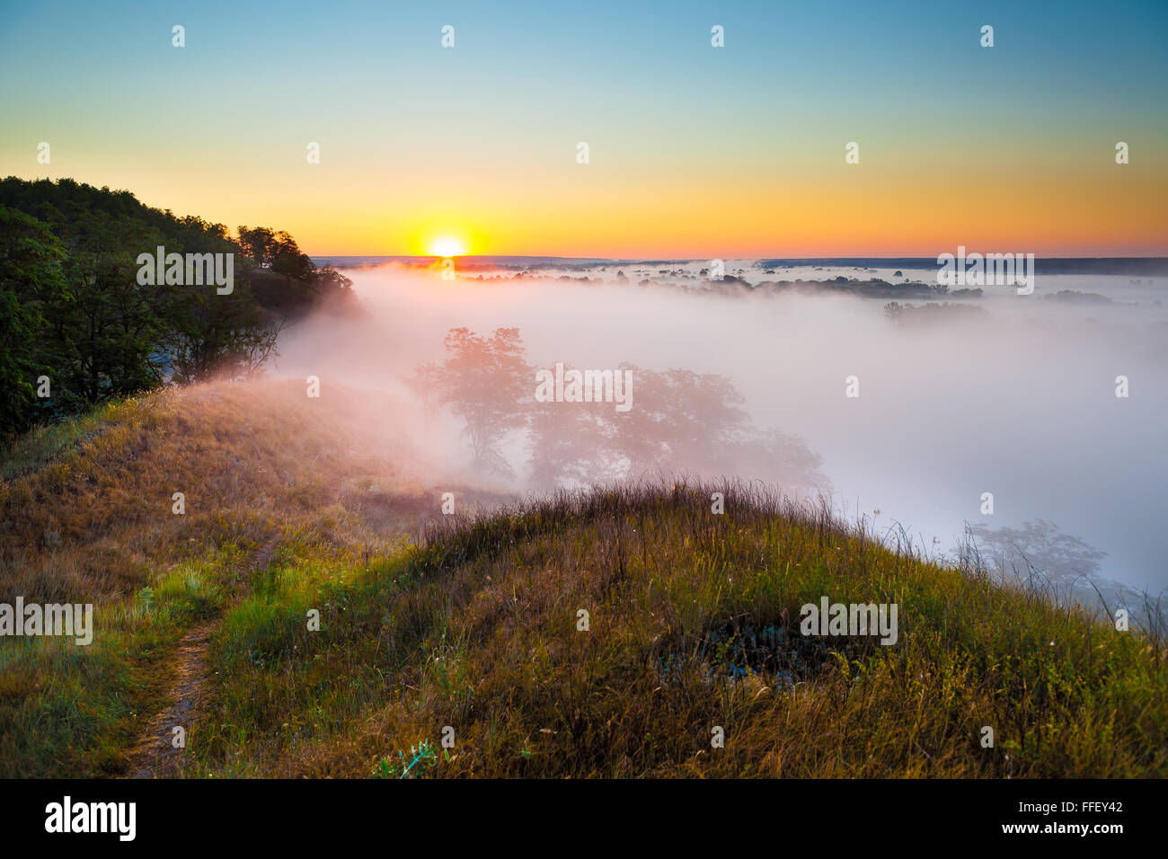 Misty dawn over the Valley and the forest Stock Photo - Alamy