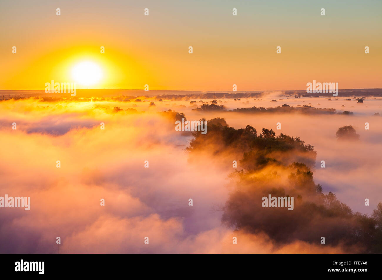 Misty dawn over the Valley and the forest Stock Photo - Alamy