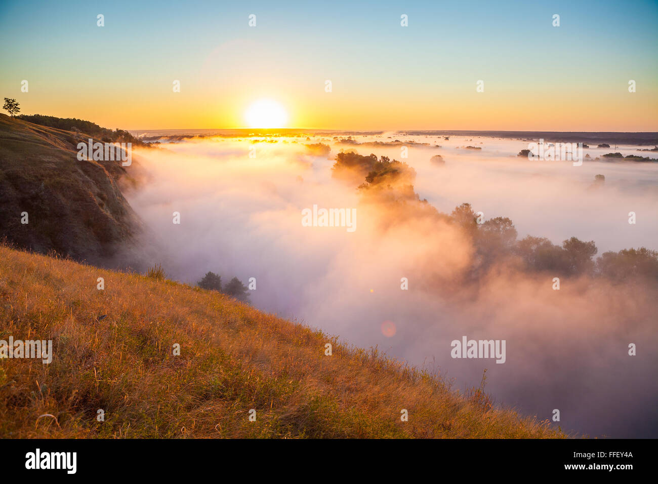 Misty dawn over the Valley and the forest Stock Photo - Alamy