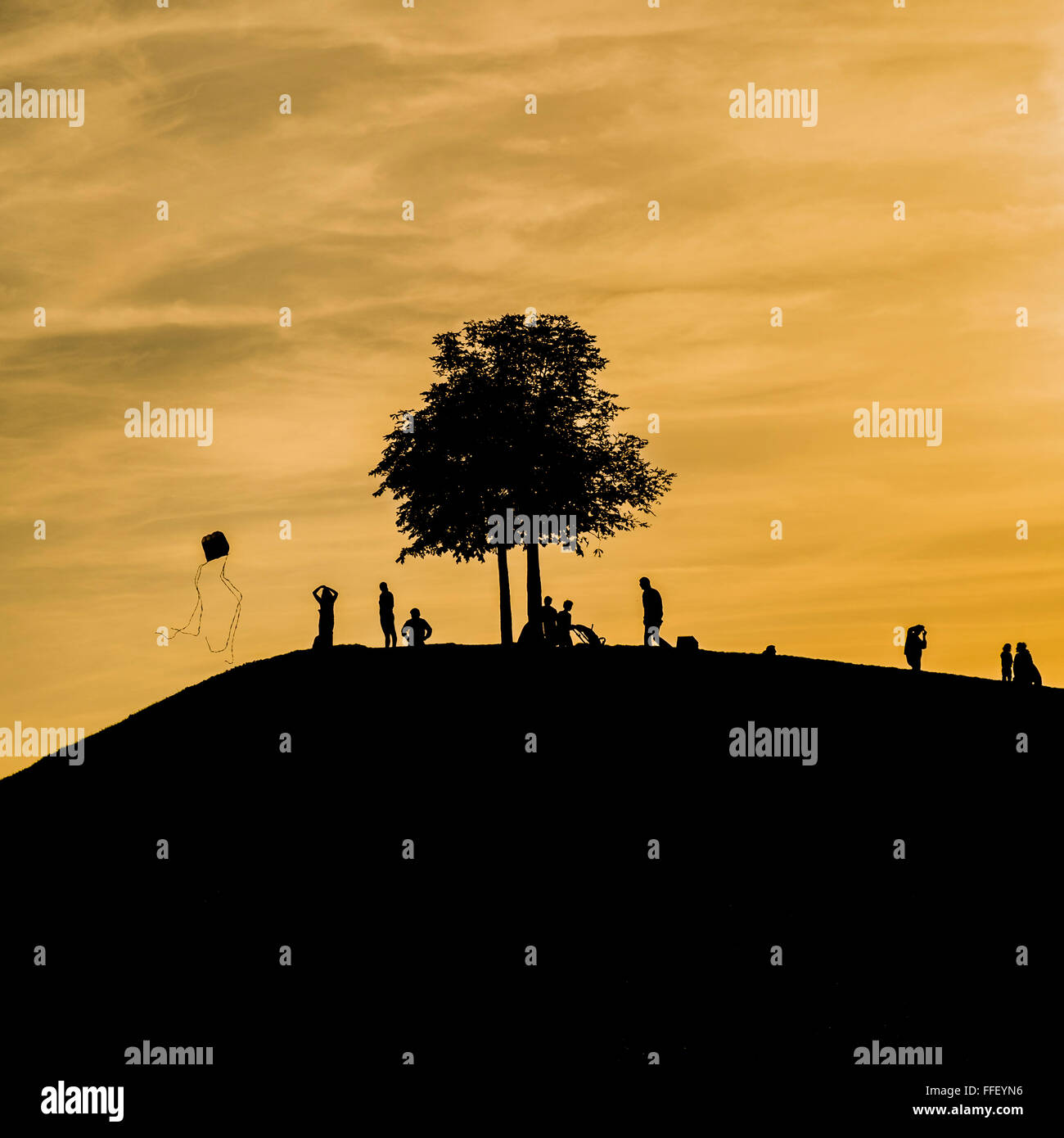 Flying a kite tree hi-res stock photography and images - Alamy
