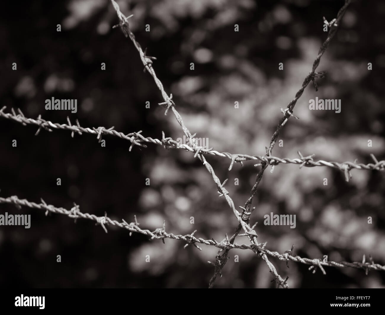 Nazi concentration camp fence wwii hi-res stock photography and images ...