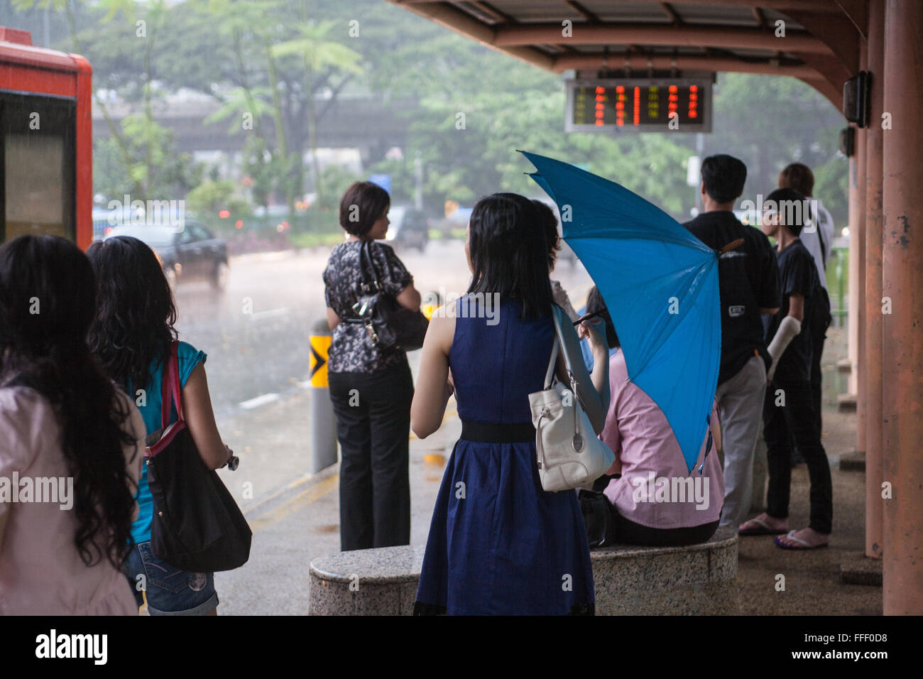 Waiting for a bus during tropical rain storm downpour in centre of ...