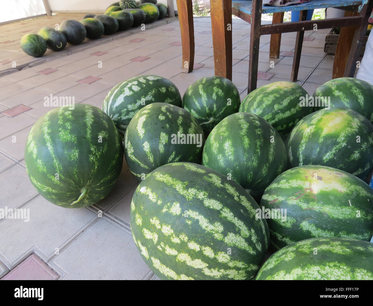 The harvest of watermelons in the yard on the tile. The fruits of ...