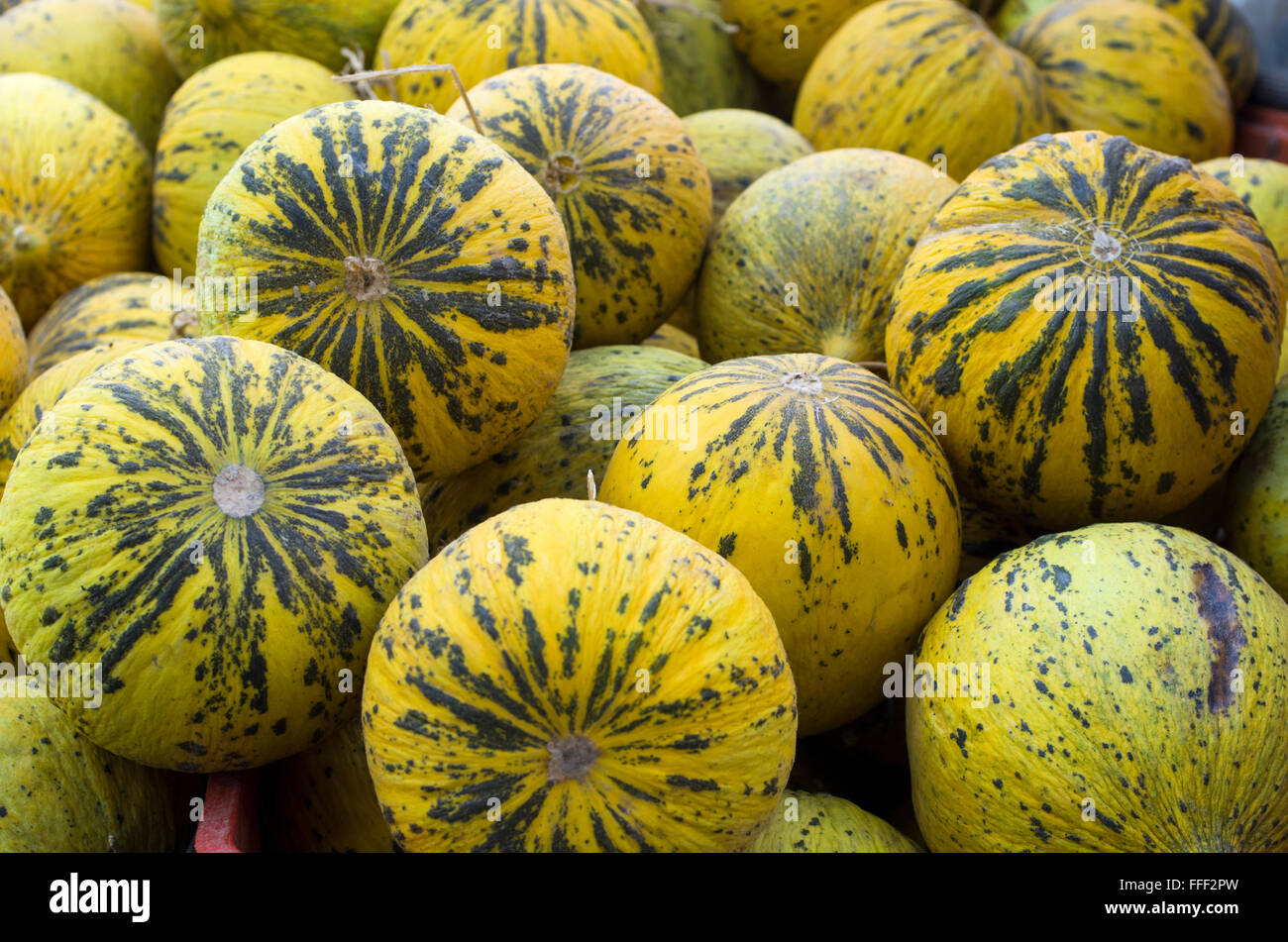 Fresh melons in open market under sunlight Stock Photo - Alamy
