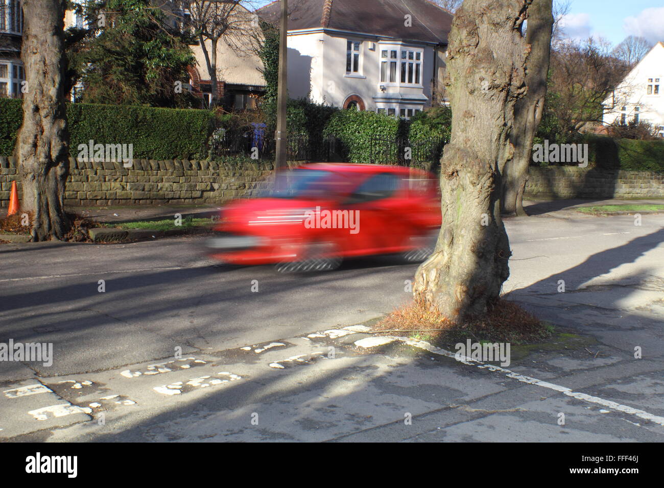 A car drives by a tree growing in the middle of a road junction on a ...