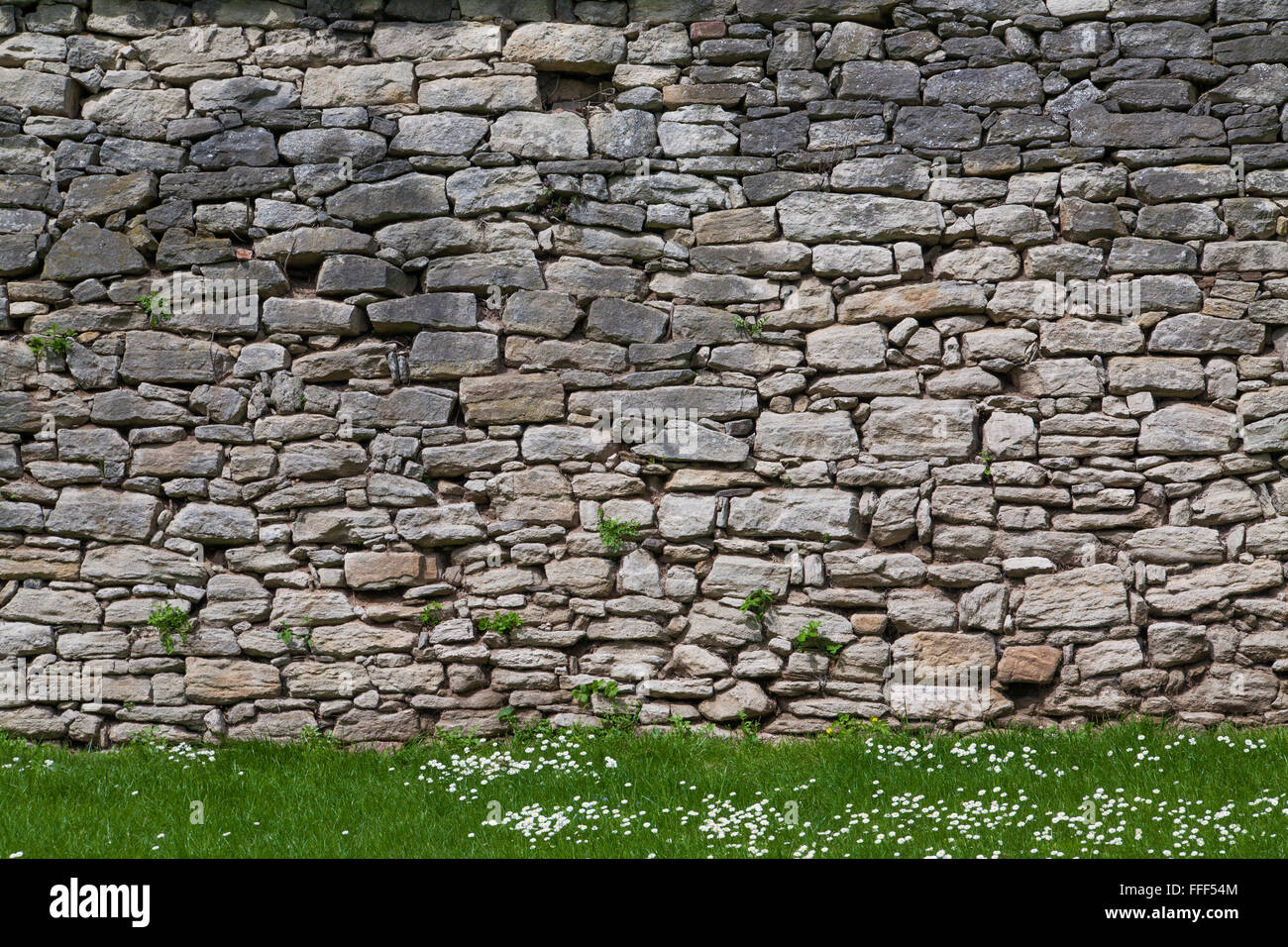Stone wall and green grass Stock Photo - Alamy