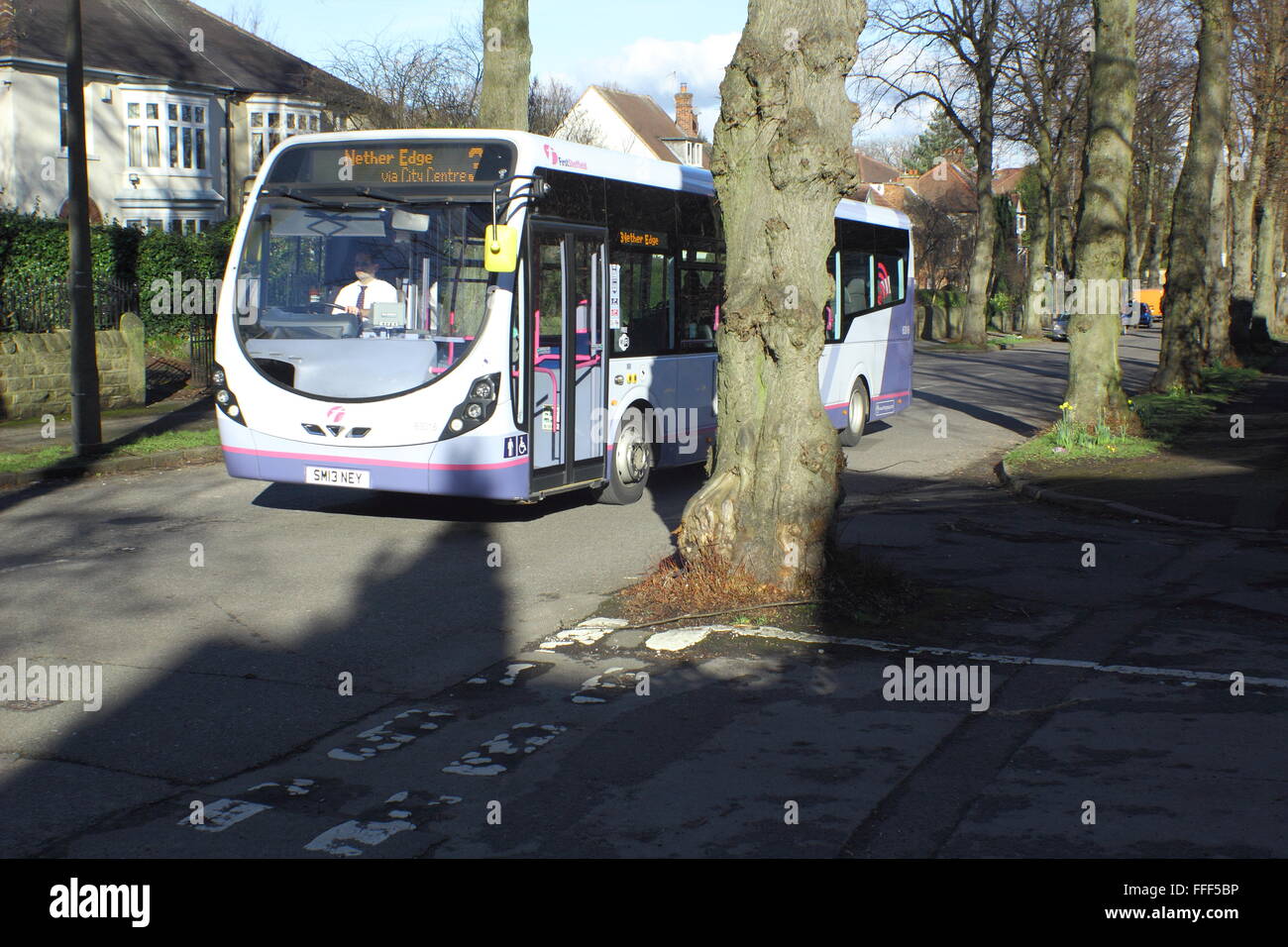 A public bus passes by a tree growing in the middle of a junction on a ...