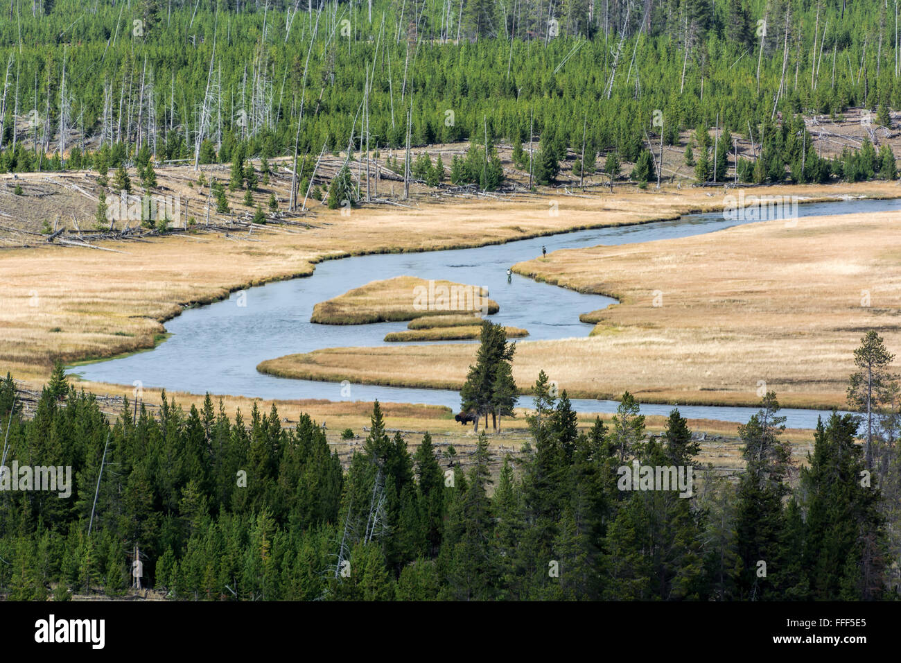 Firehole river fly fishing hi-res stock photography and images - Alamy
