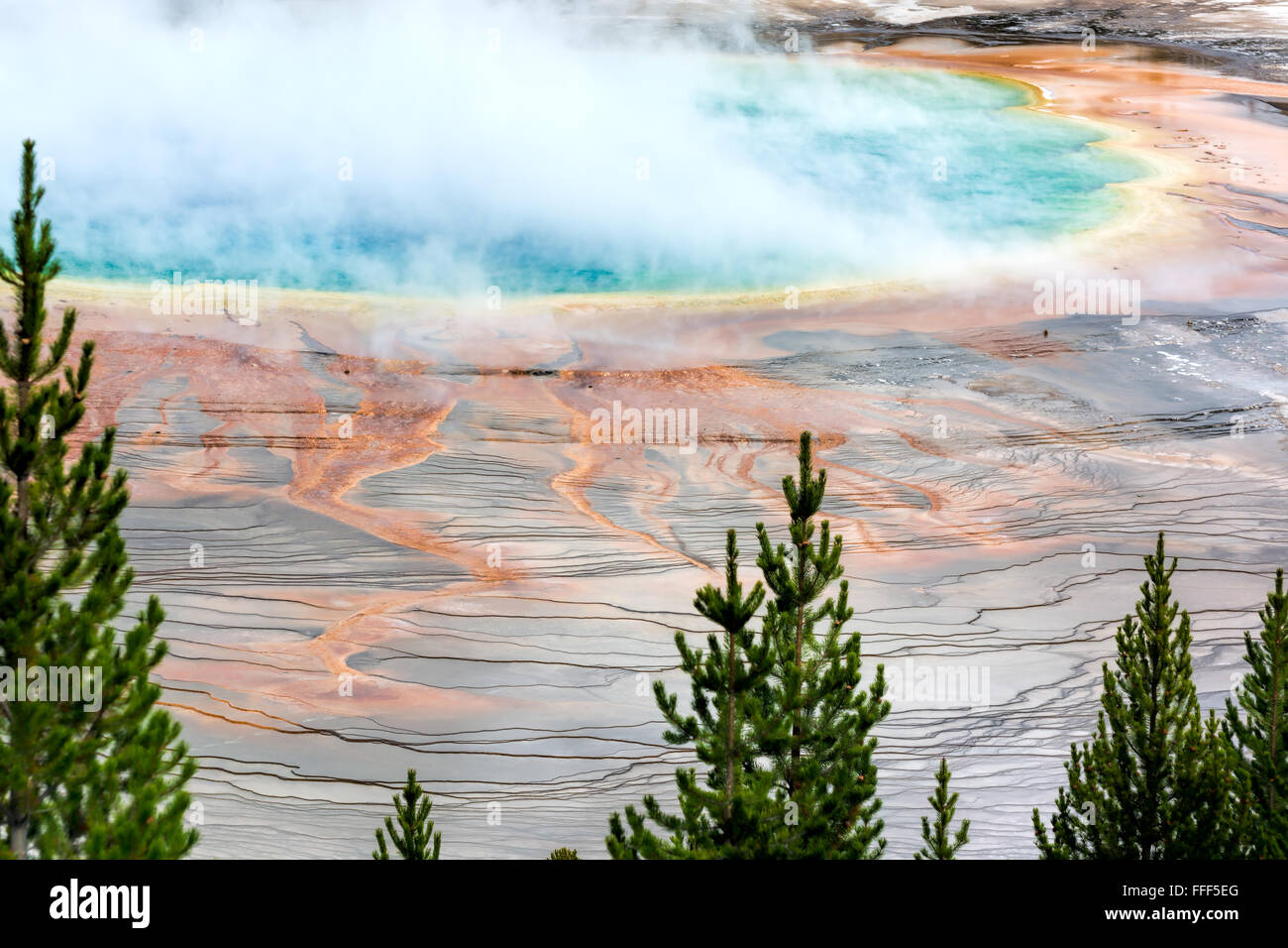 Grand Prismatic Spring Stock Photo - Alamy