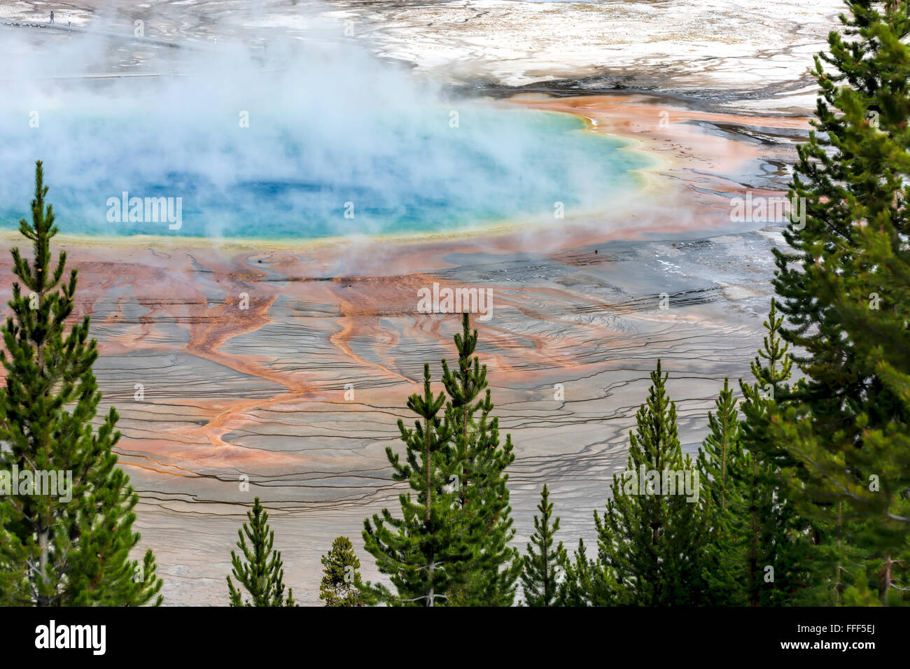 Grand Prismatic Spring Stock Photo - Alamy