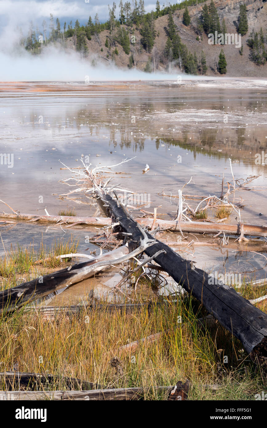 Grand Prismatic Spring Stock Photo - Alamy
